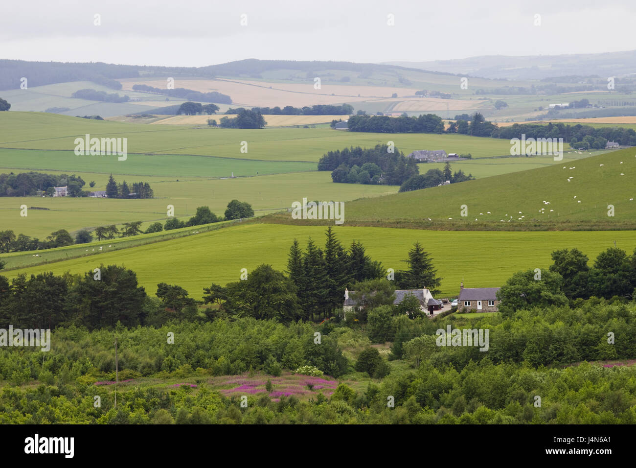 Great Britain, Scotland, Aberdeenshire, hill scenery Stock Photo - Alamy