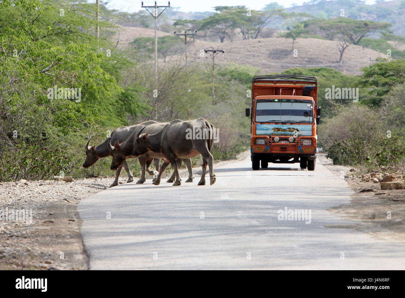 Timor leste street hi-res stock photography and images - Alamy