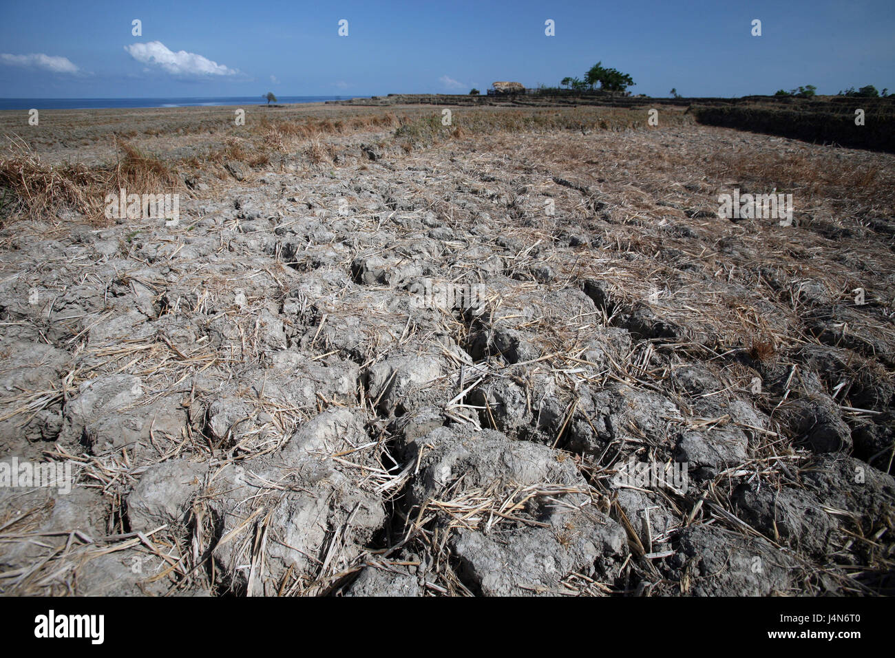 Democratic republic of Timor-Leste, Laga, travel field, parched Stock ...