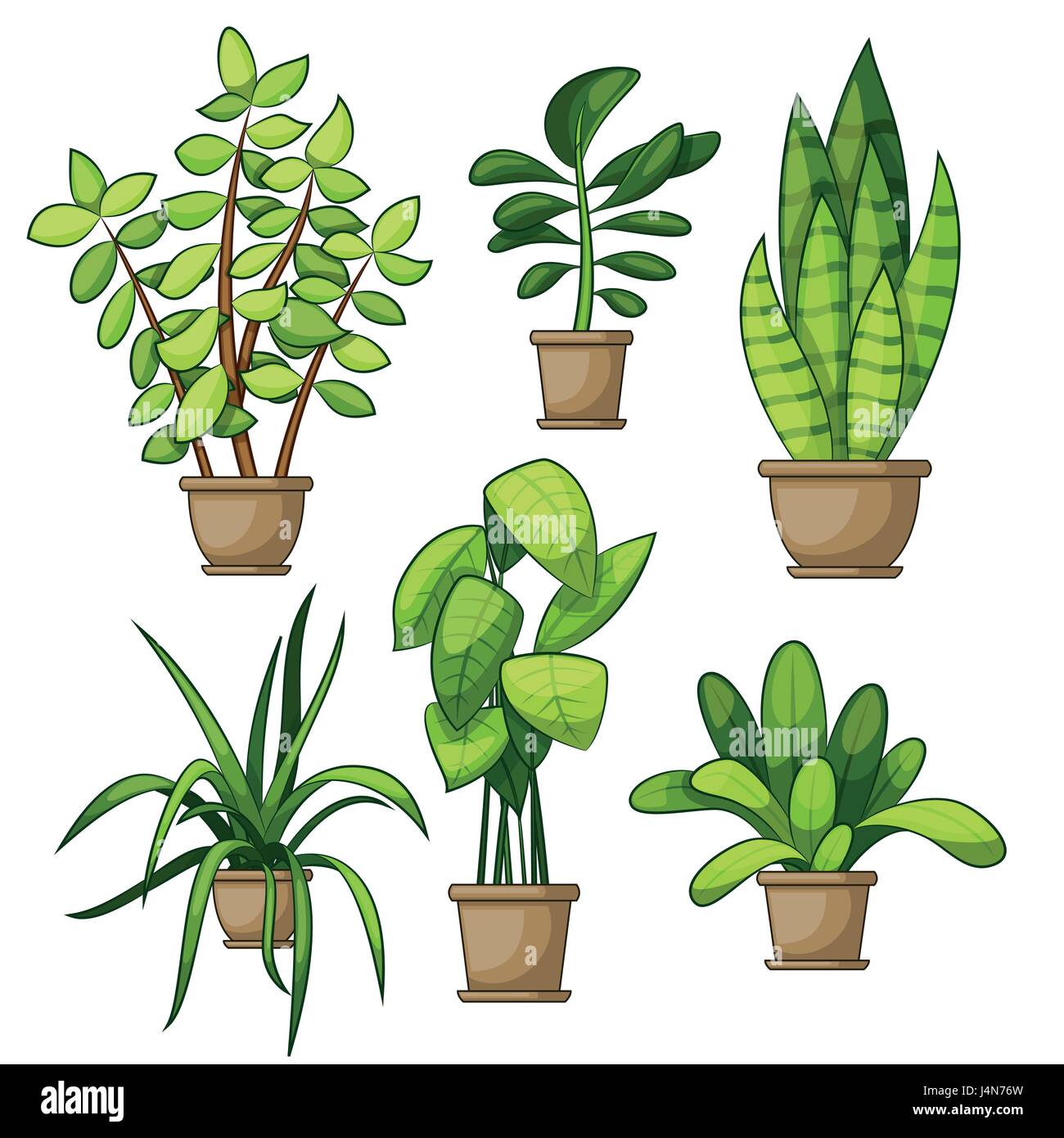 House plants Stock Vector Images - Alamy