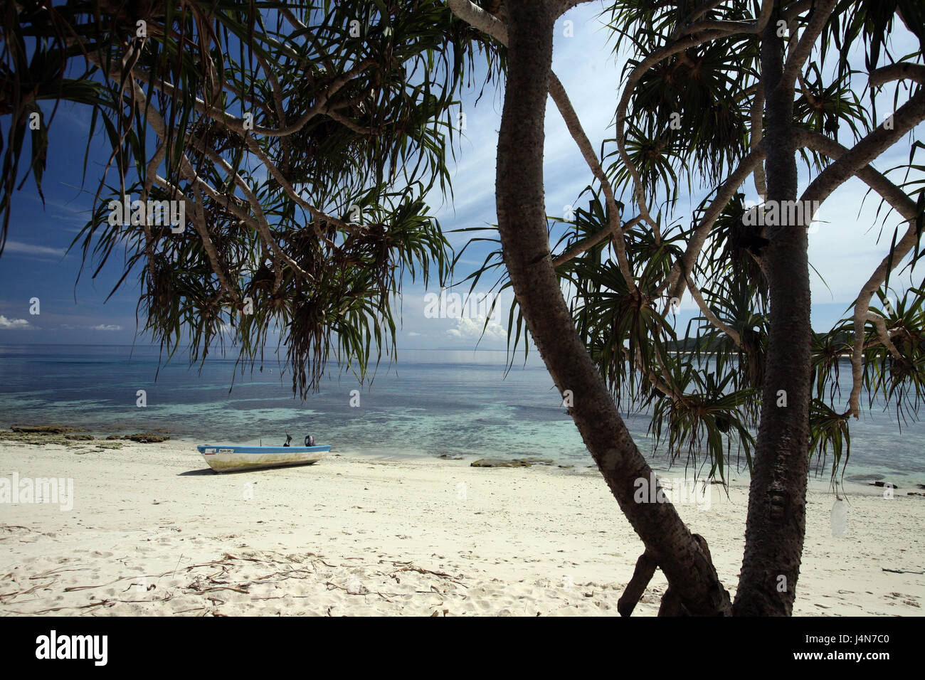 Democratic republic of Timor-Leste, Tutuala, Jako island, palm beach ...