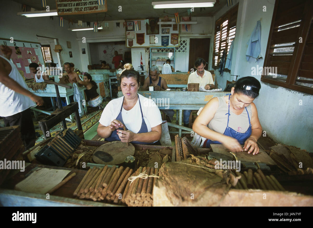 Cuba, Baracoa, cigar factory, worker, production, cigars, no model ...