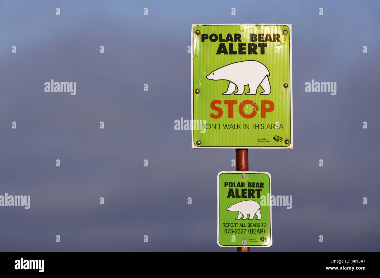 Danger sign polar bears churchill manitoba canada hi-res stock ...