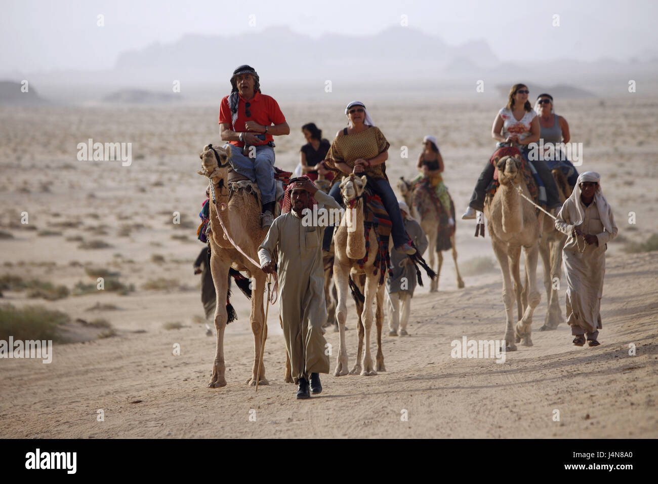 Middle east camel hi-res stock photography and images - Alamy