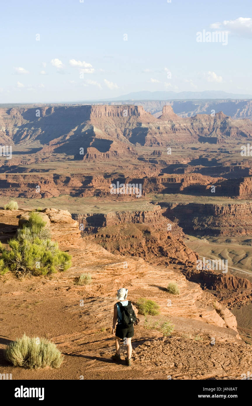 The USA, Utah, Dead Horse Point, wanderer, back view Stock Photo - Alamy