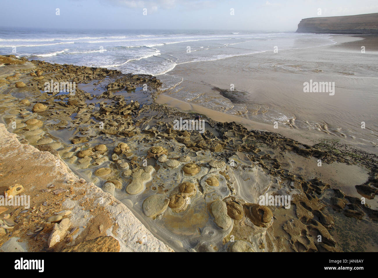 North Africa, Morocco, Western Sahara, Atlantic coast, estuary, Oued el ...