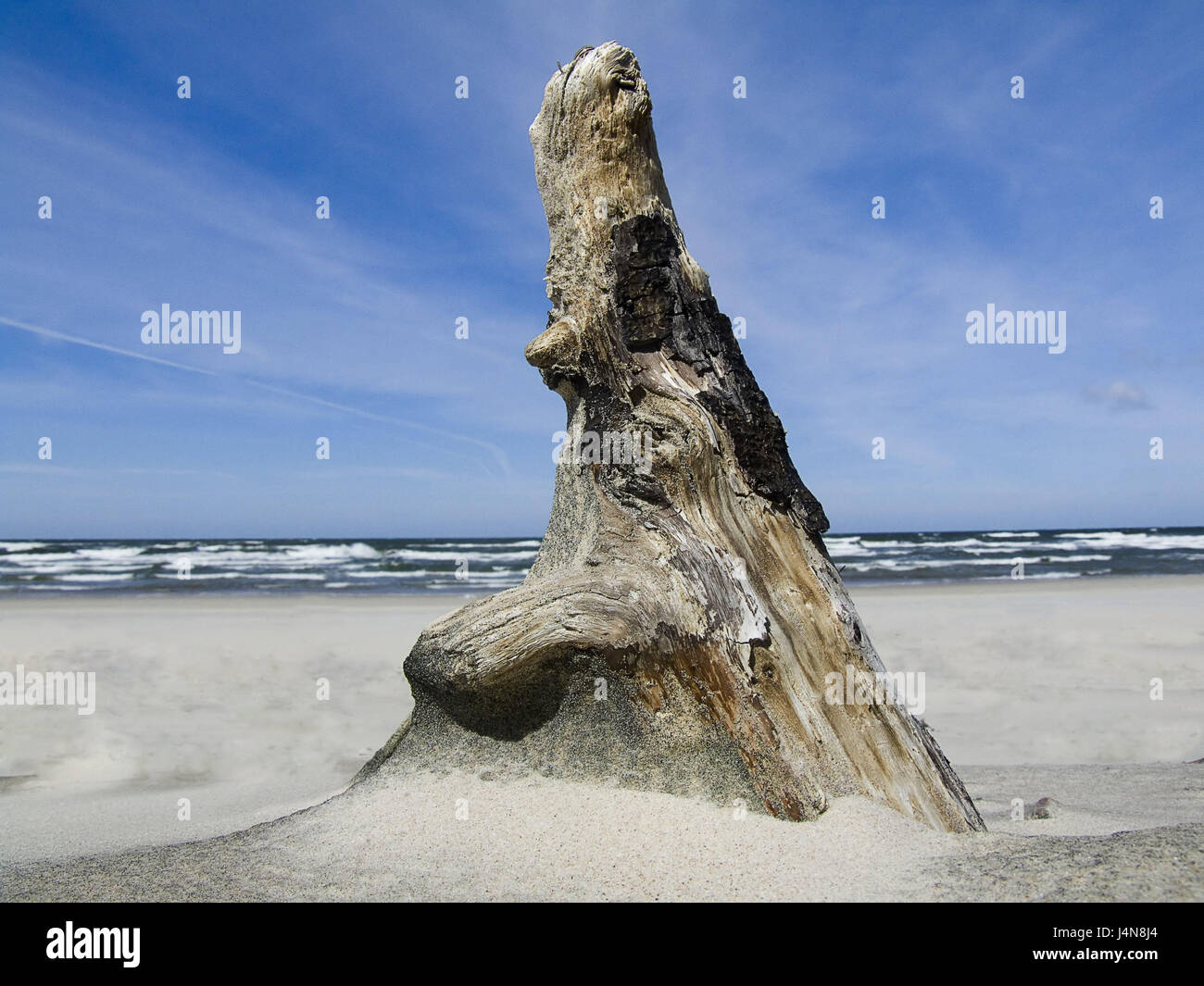 Sea Stack And Stump