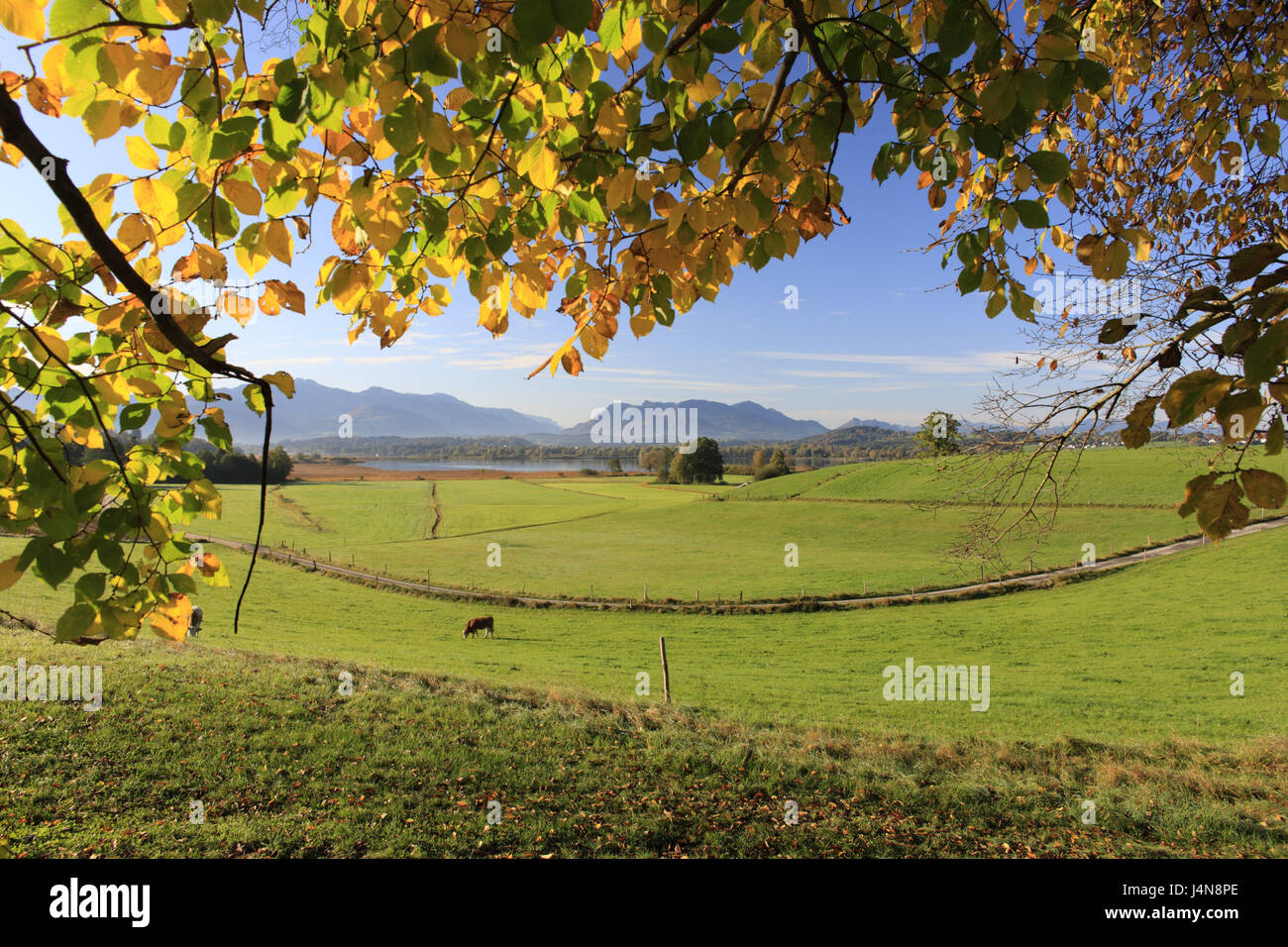 Germany, Upper Bavaria, Chiemgau, Chiemgauer alps, Lake Chiem, high ...