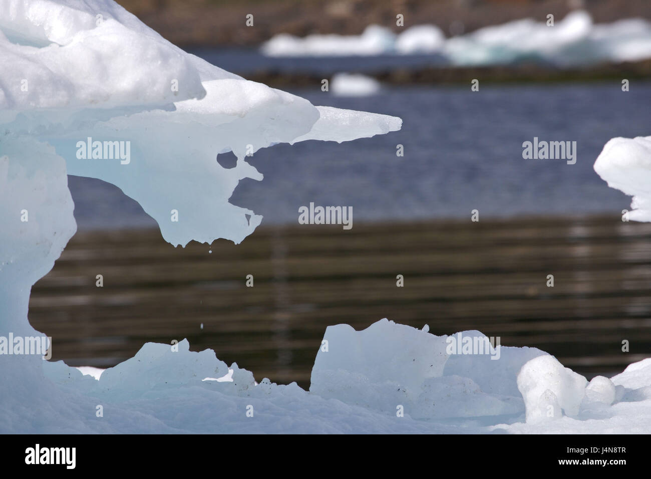 Conche newfoundland hi-res stock photography and images - Alamy