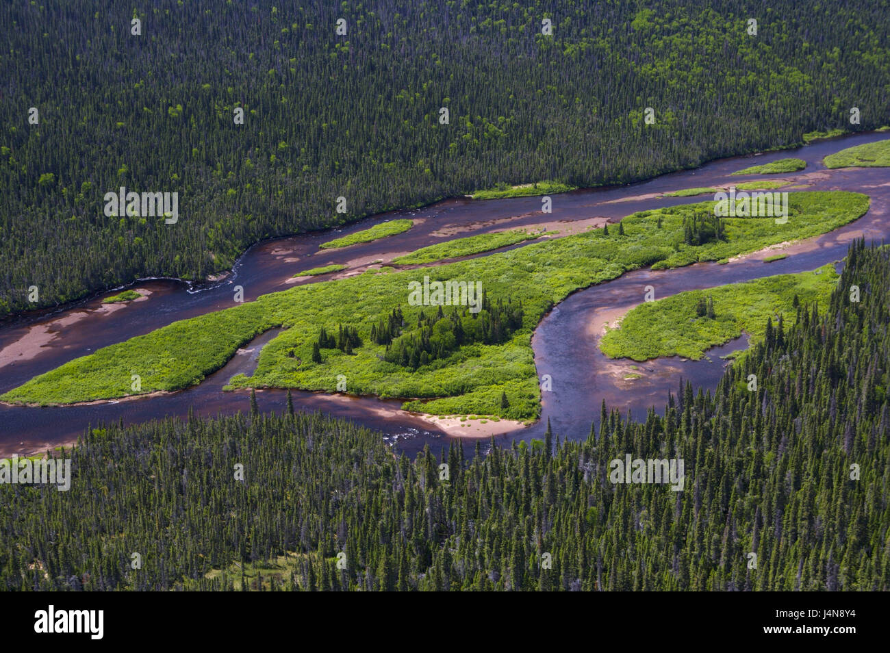 Canada, Labrador, river scenery, wood, overview Stock Photo - Alamy