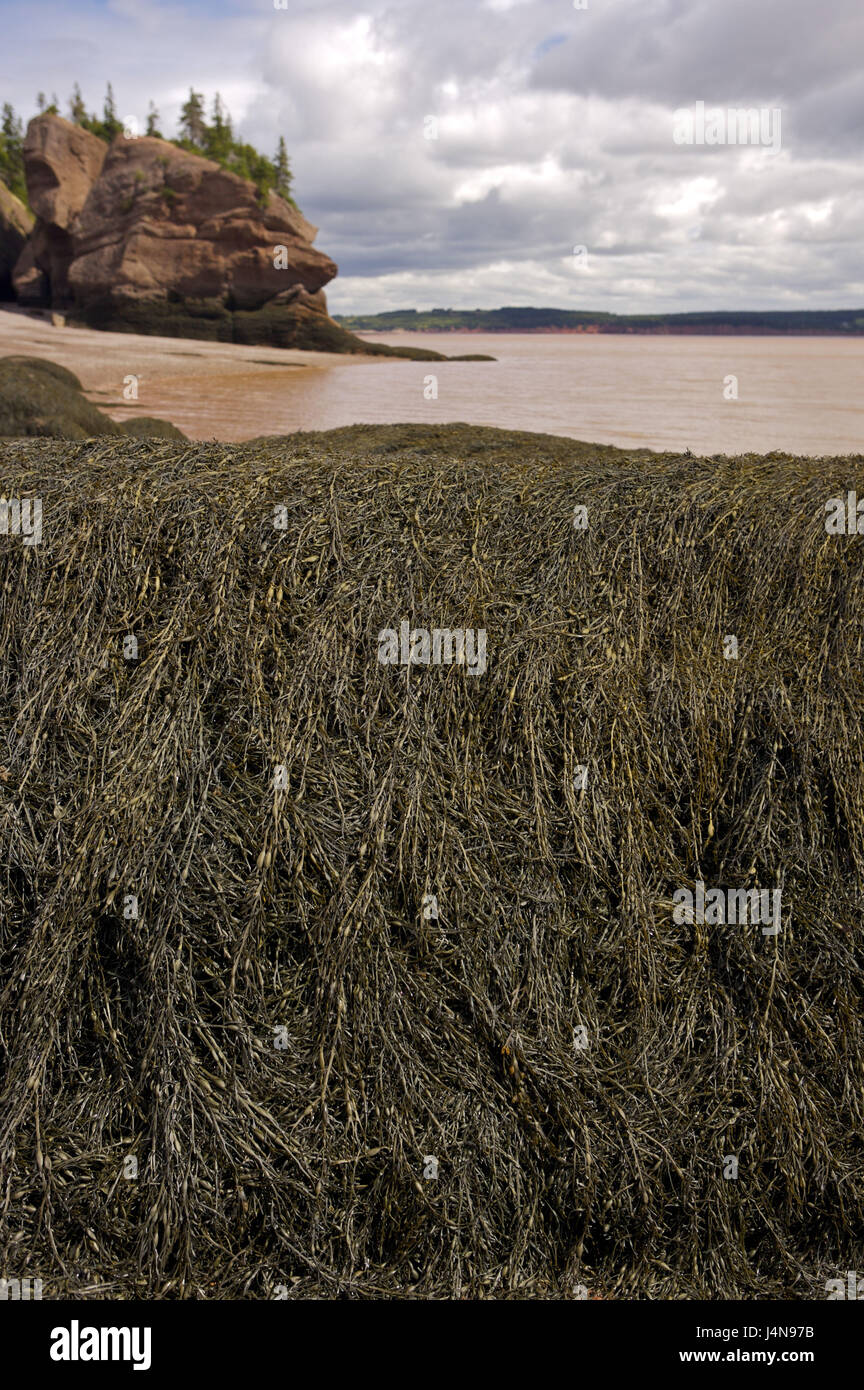 Shepody New Brunswick High Resolution Stock Photography and Images - Alamy