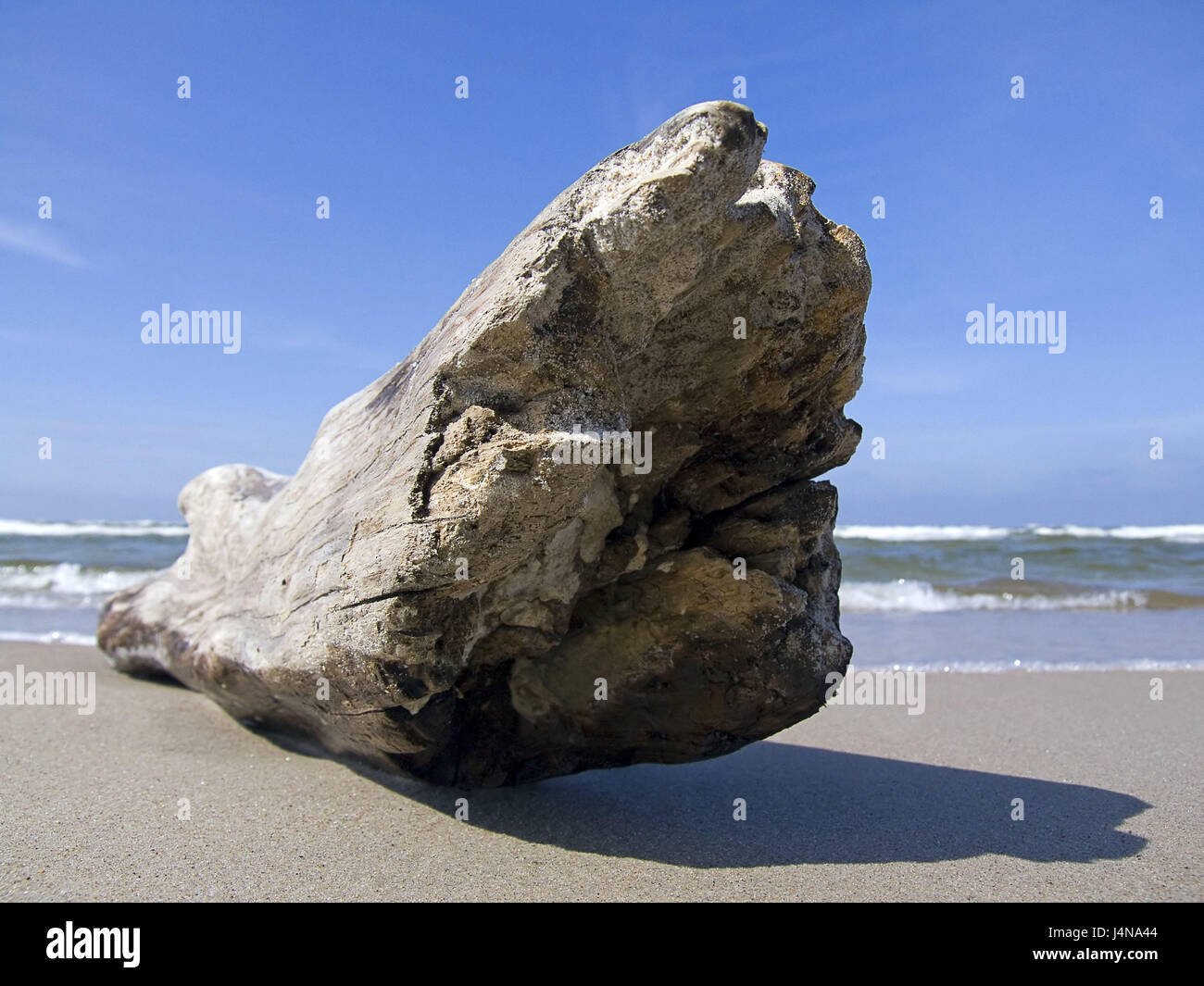 Beach, wooden piece, detail, sky, the Baltic Sea, sea, coast, Sand ...