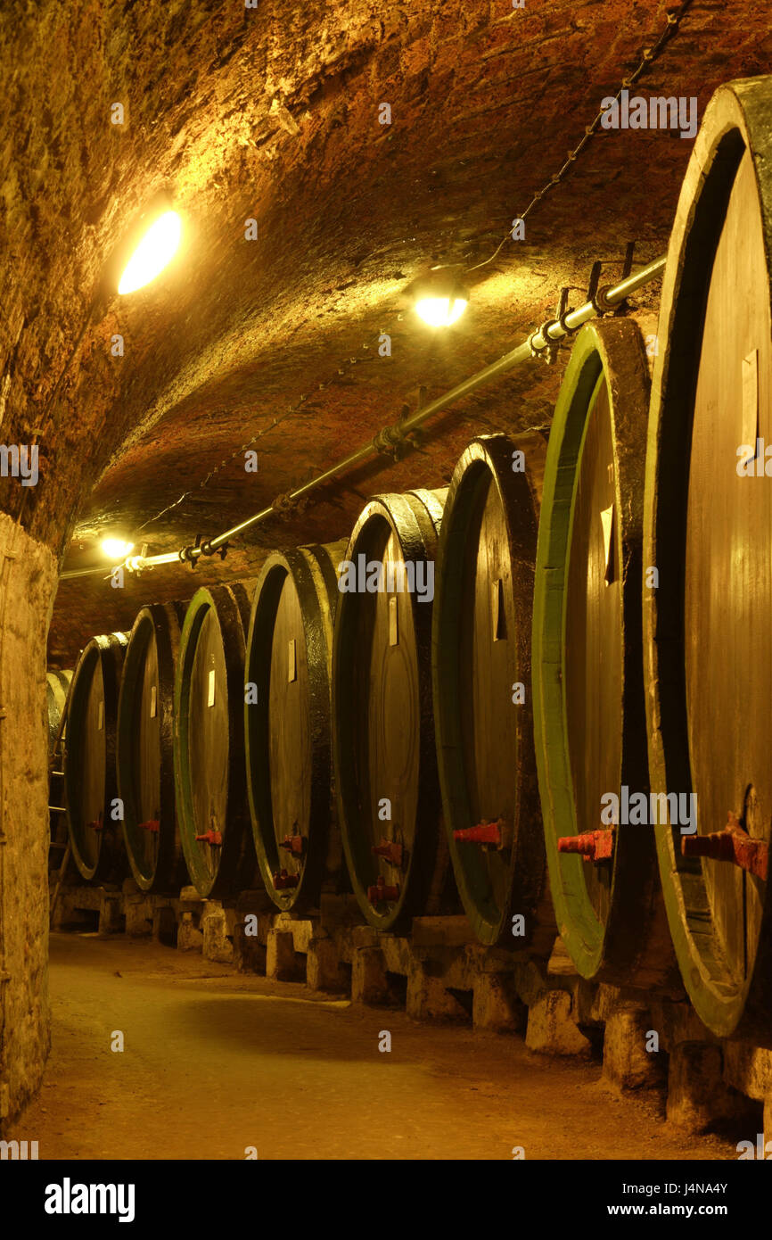Wine cellar, detail, wine casks, old, wines, alcohol, alcoholic ...