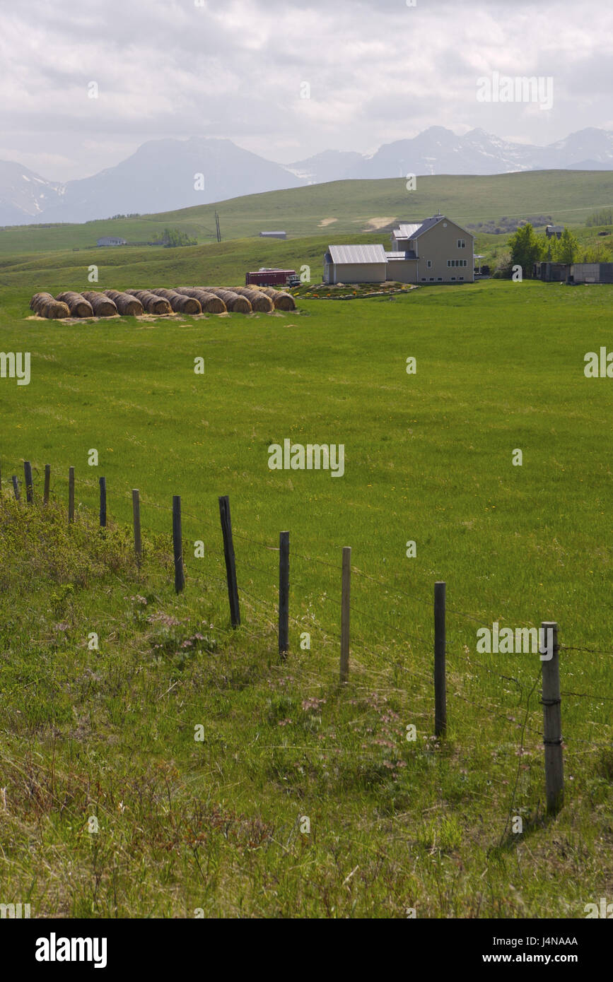 Canada, Alberta, fields, farm, background, Waterton Lakes Nationwide ...