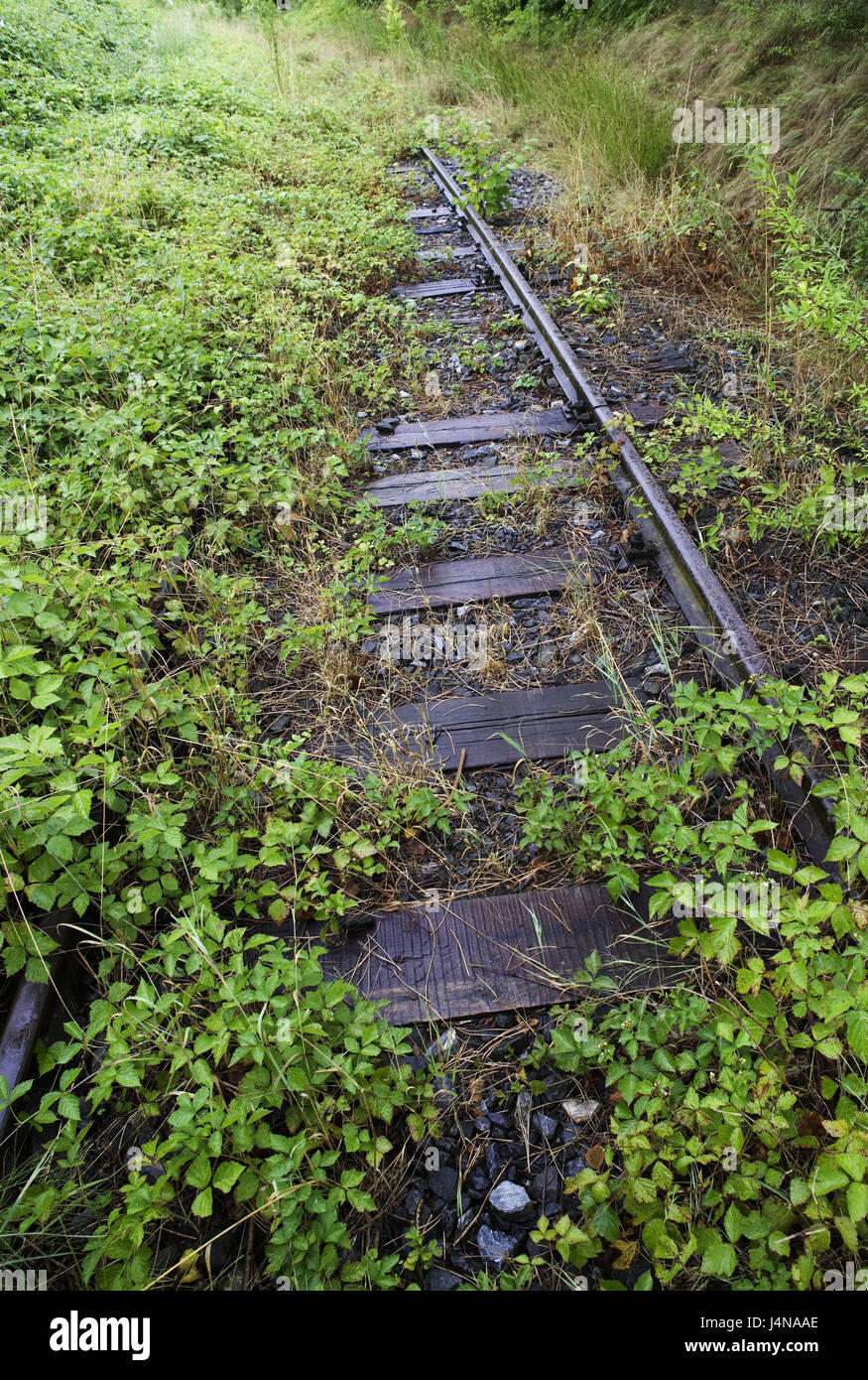 Overgrown railway track hi-res stock photography and images - Alamy