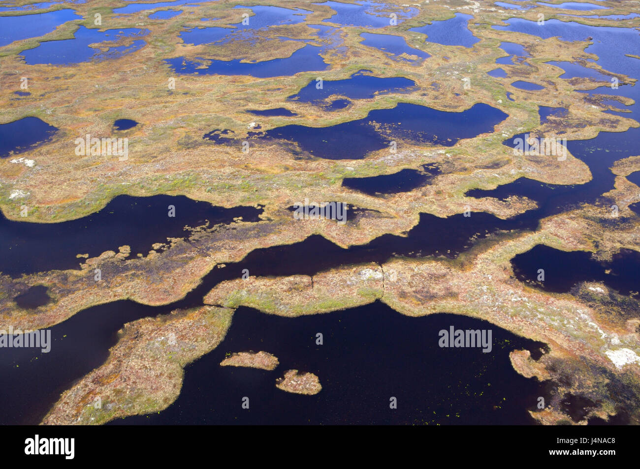 Marshy land hi-res stock photography and images - Alamy