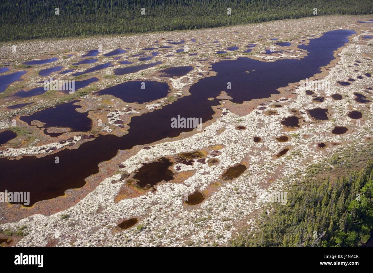Marshy Land High Resolution Stock Photography and Images - Alamy