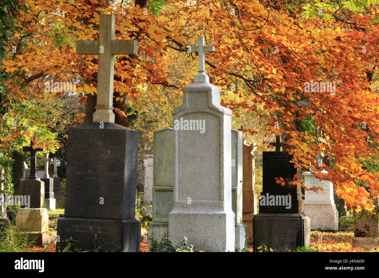 Cemetery, gravestones, trees, autumn Stock Photo - Alamy