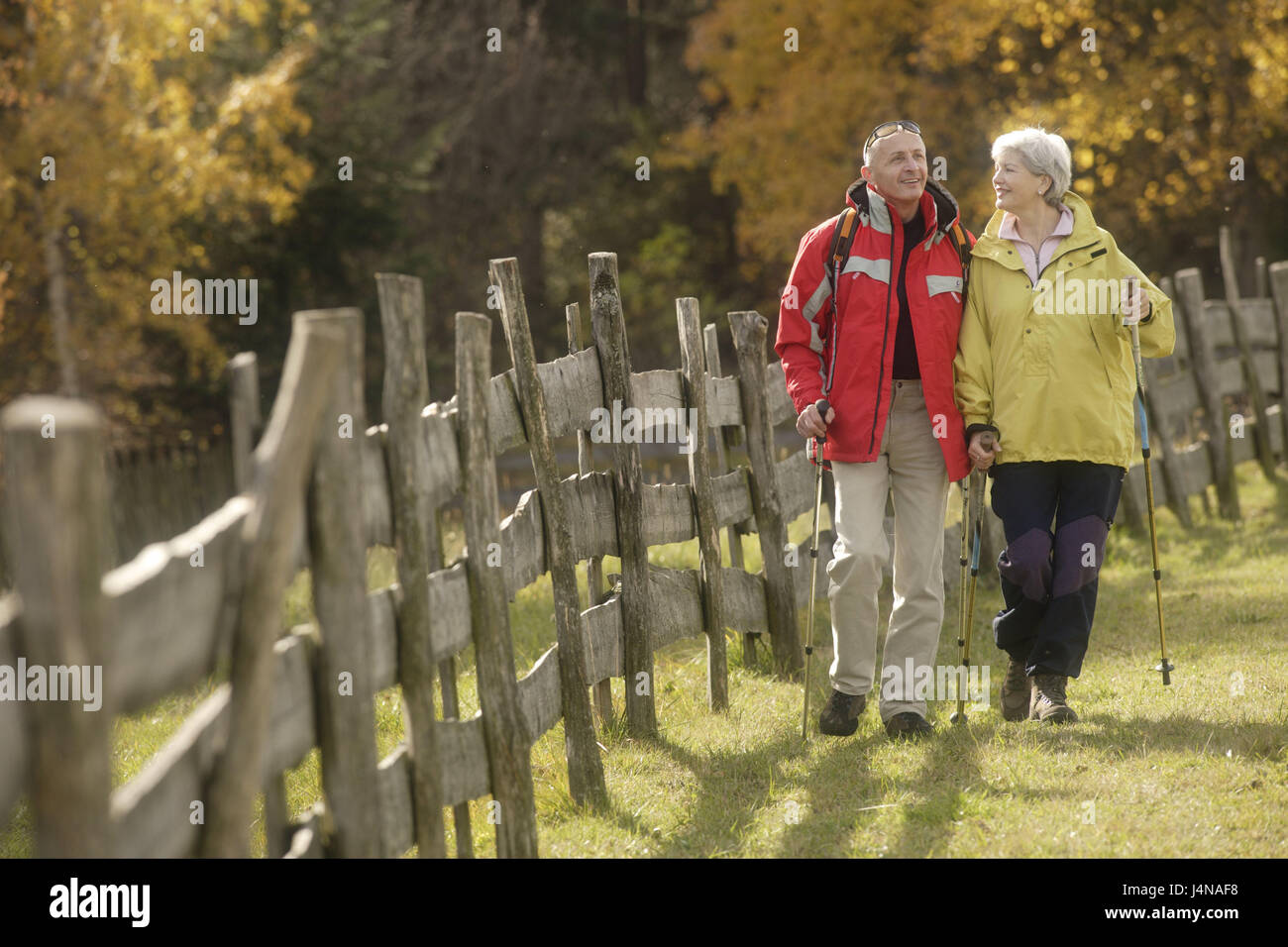 Senior citizen's couple, walking, floors, people, senior citizens ...
