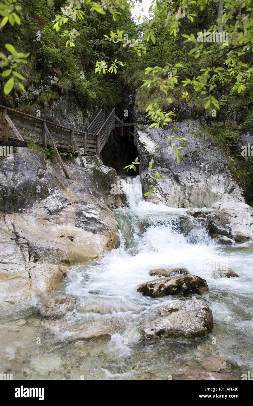 Austria, Salzburg, Reith with toads, Innersbachklamm, deserted, Reith ...