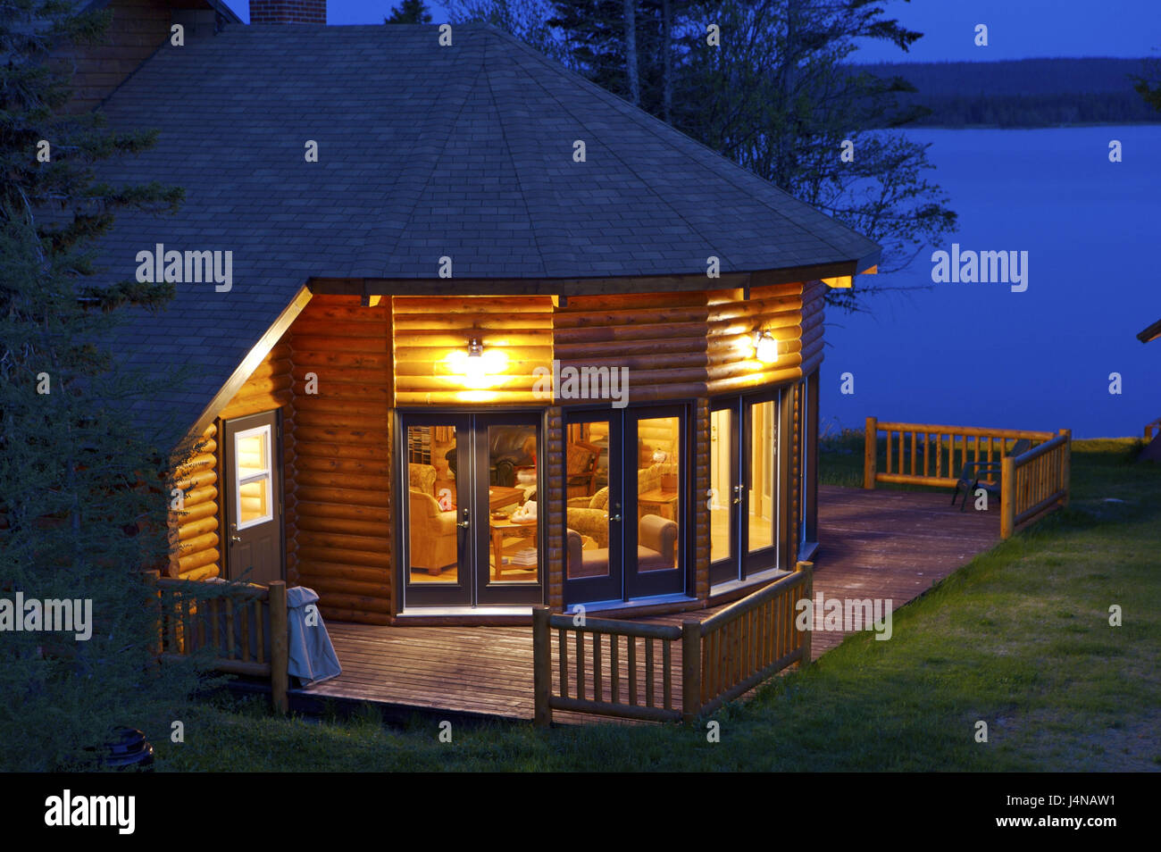 Tuckamore newfoundland hi-res stock photography and images - Alamy