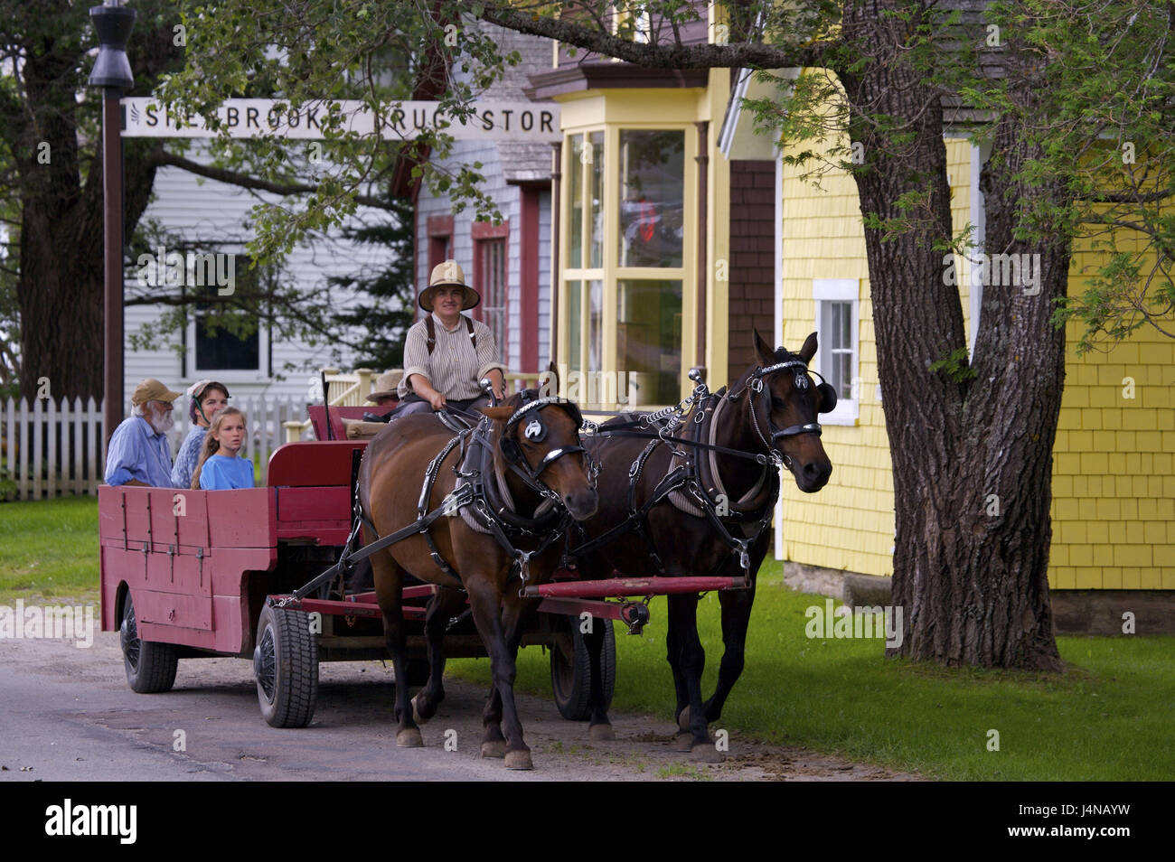High carriage hi-res stock photography and images - Alamy