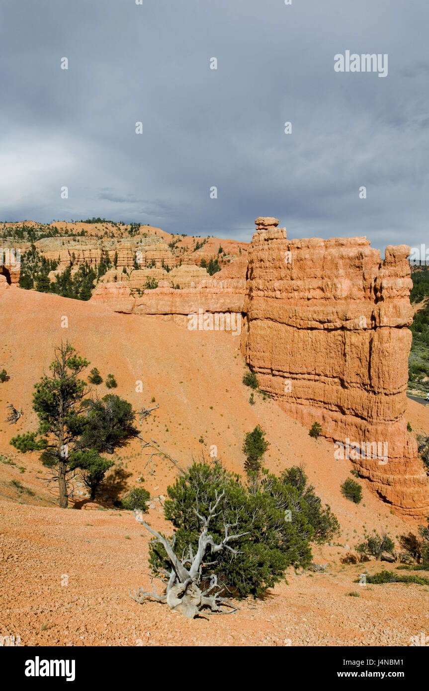 The red canyon hi-res stock photography and images - Alamy