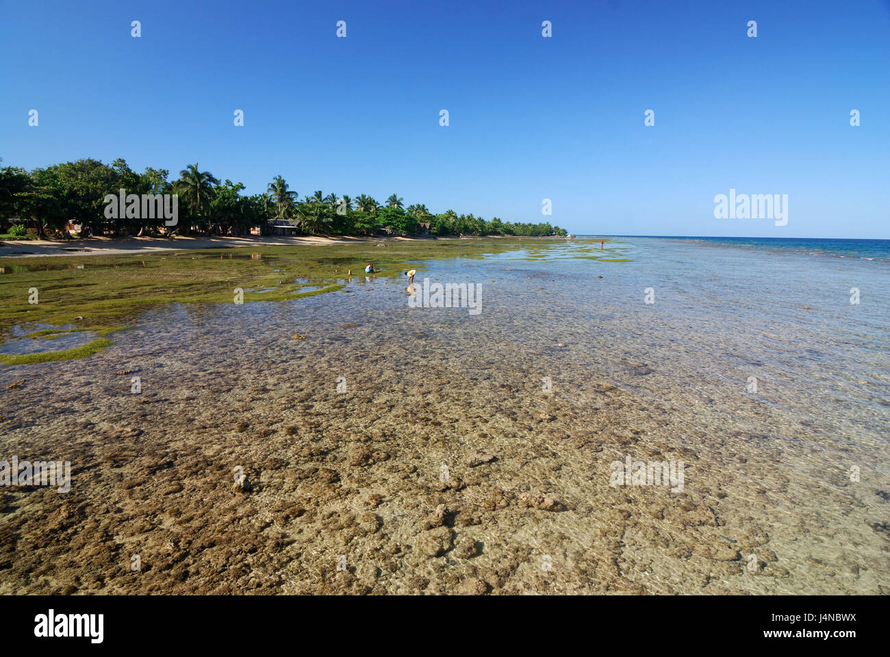 Madagascar Beach Person High Resolution Stock Photography and Images ...