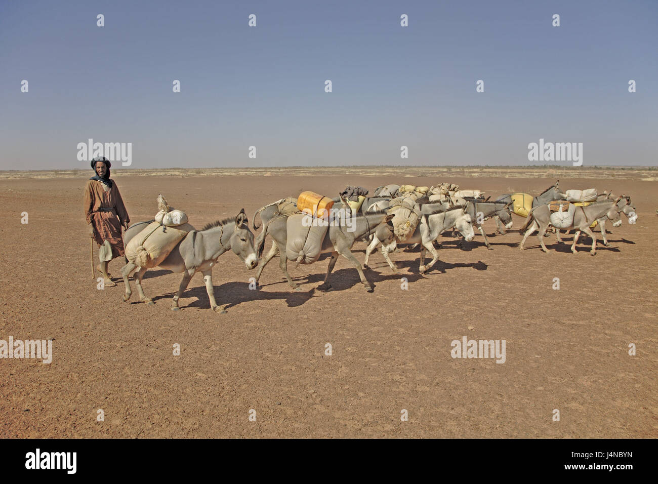 West Africa, Mali, Sahara, wild scenery, donkey caravan Stock Photo - Alamy