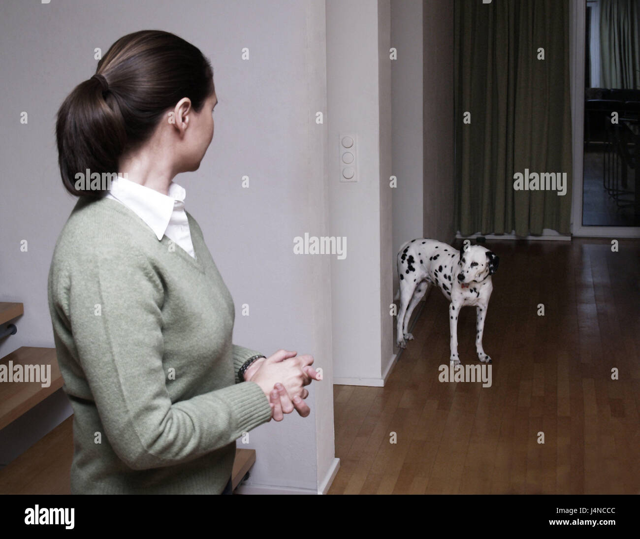 Contact to animals hi-res stock photography and images - Alamy