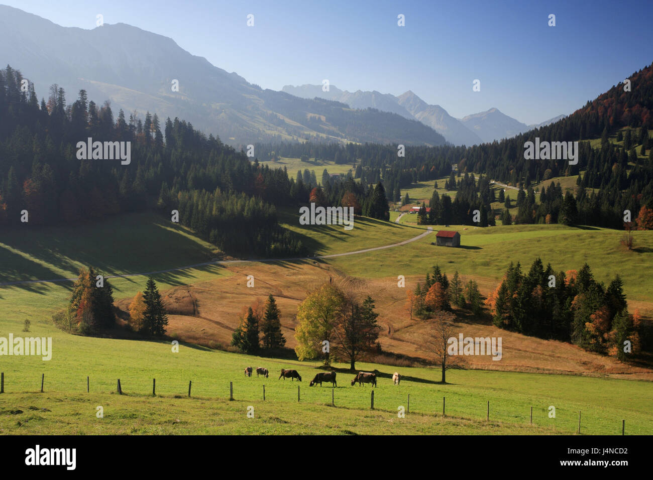 German alpenstrasse hi-res stock photography and images - Alamy