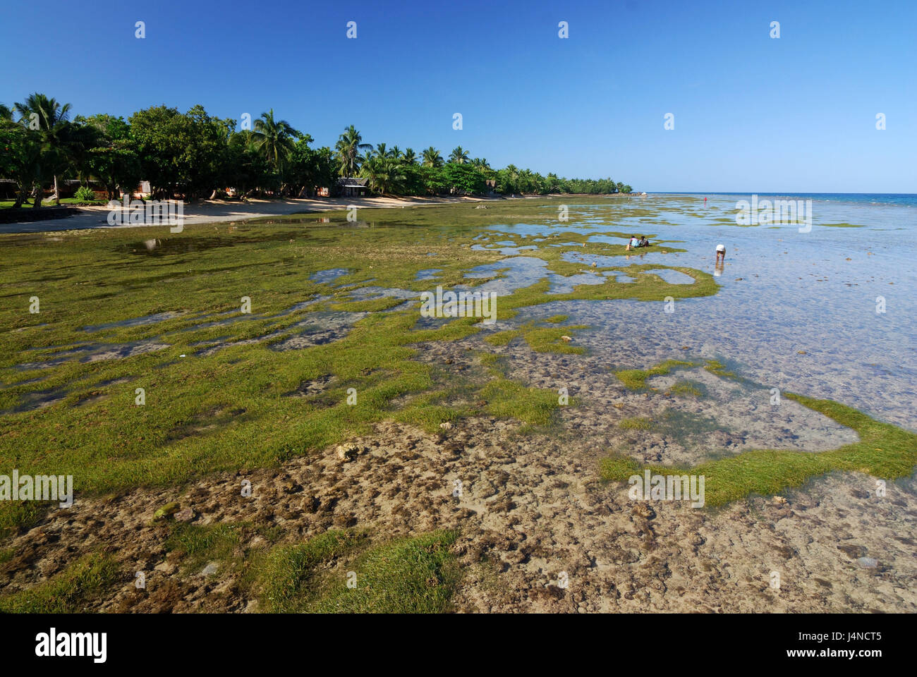 Madagascar island not nosy hi-res stock photography and images - Alamy