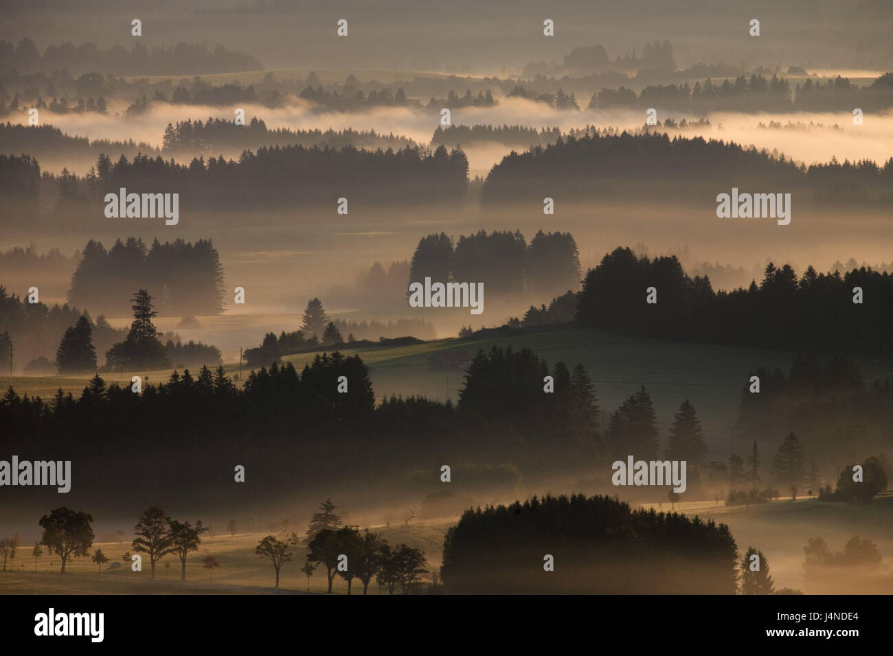 Germany, Bavaria, Allgäu, priest's angle, king's angle, mountain Auer ...