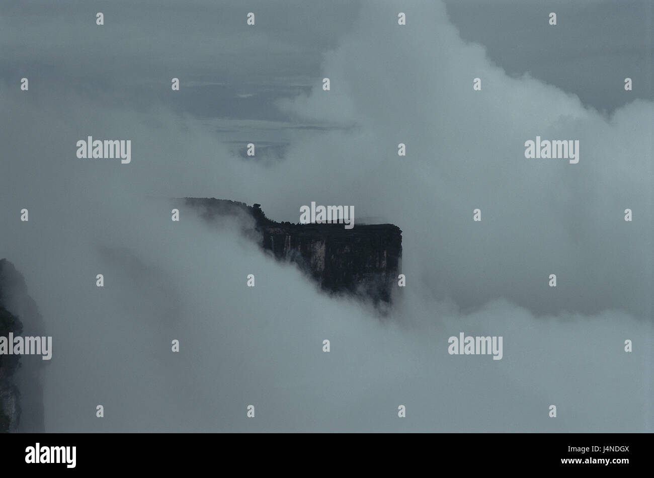 Roraima brazil hi-res stock photography and images - Alamy