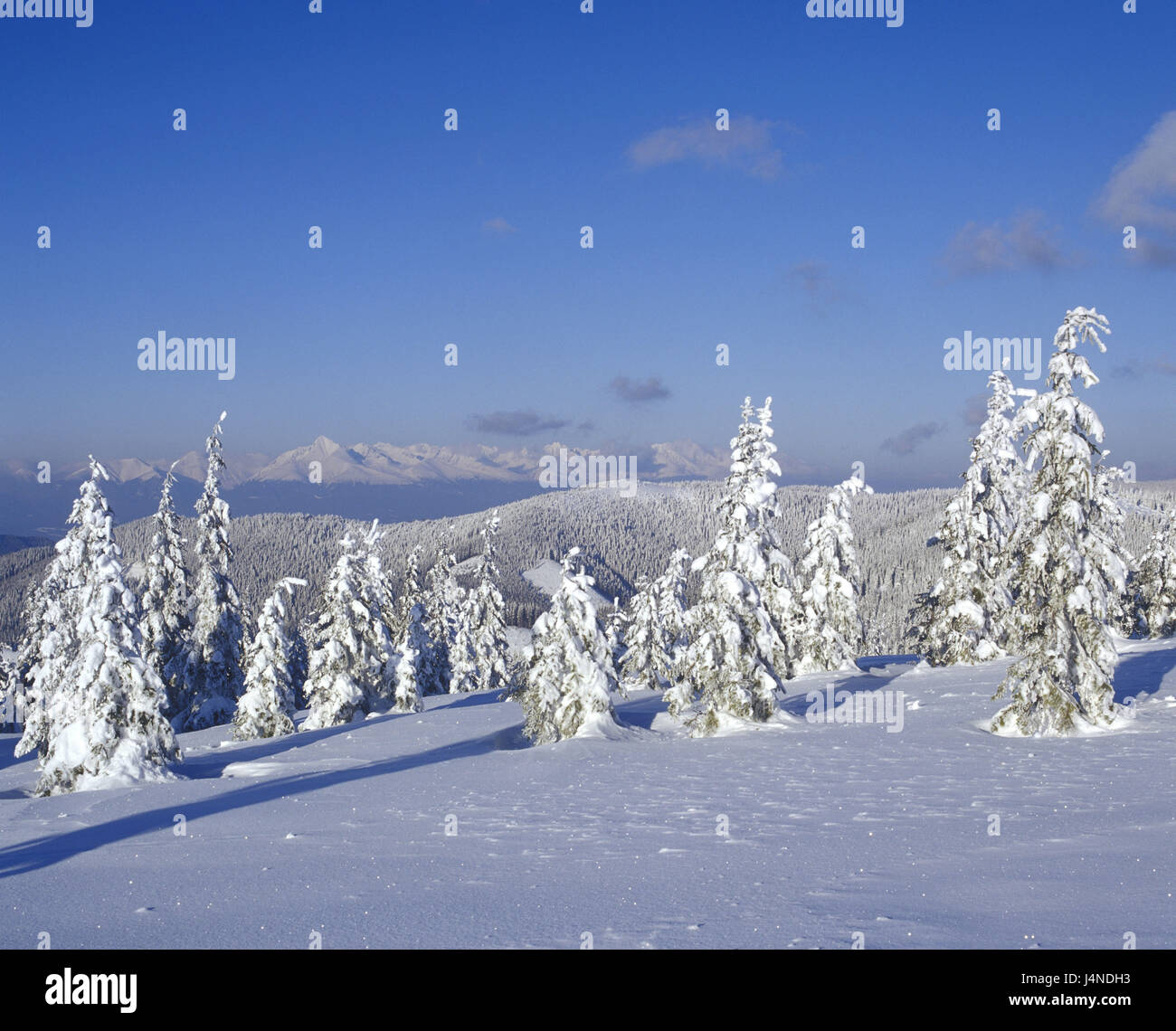 Slovakia, winter scenery in the low Tatra Mountains Stock Photo - Alamy