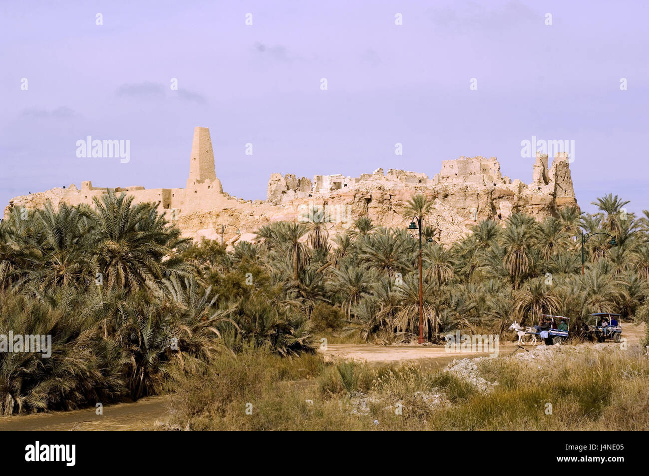 Egypt, Siwa oasis, temple of the oracle Stock Photo - Alamy