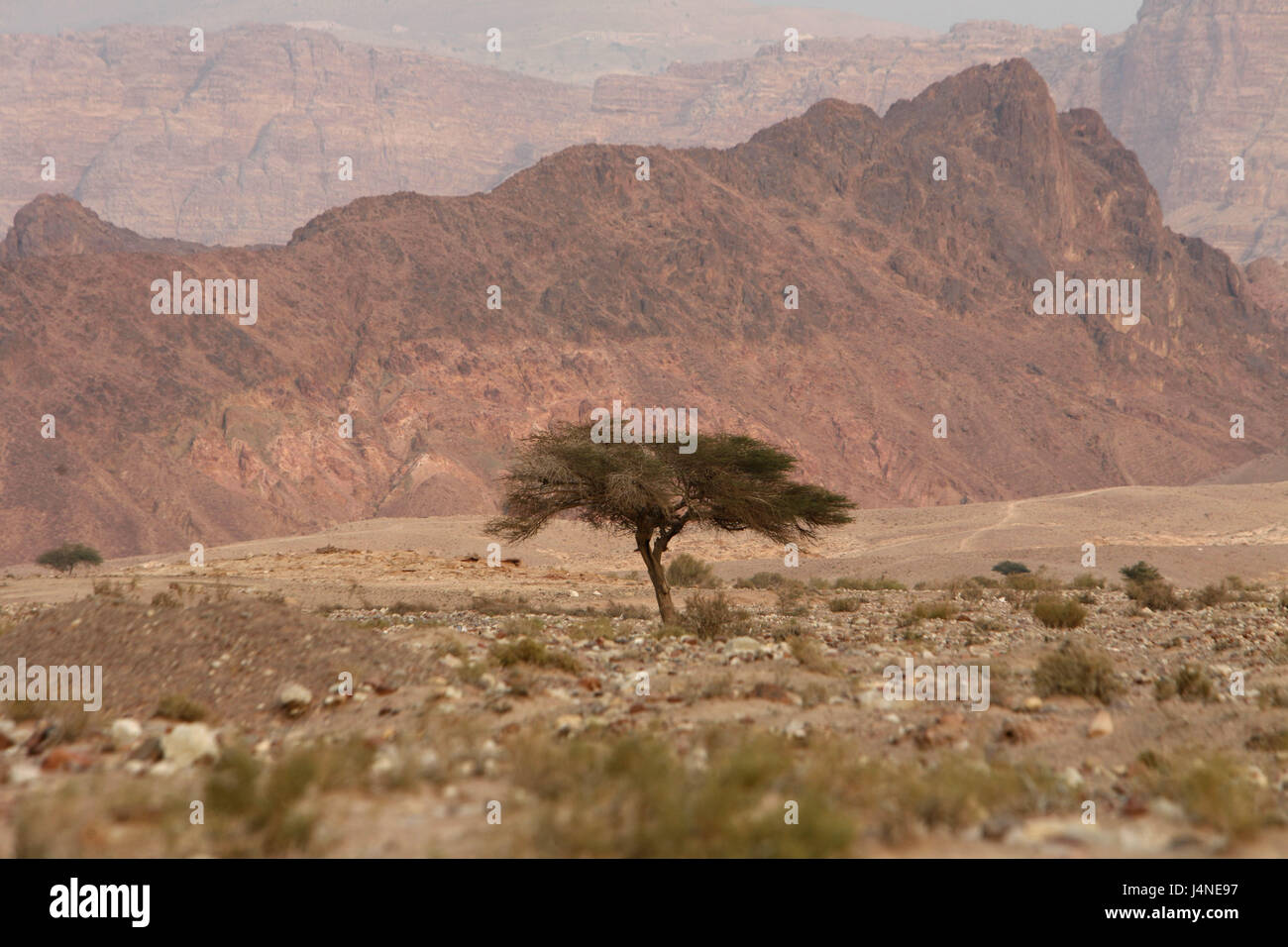 The Middle East, Jordan, close Petra, scenery Stock Photo - Alamy