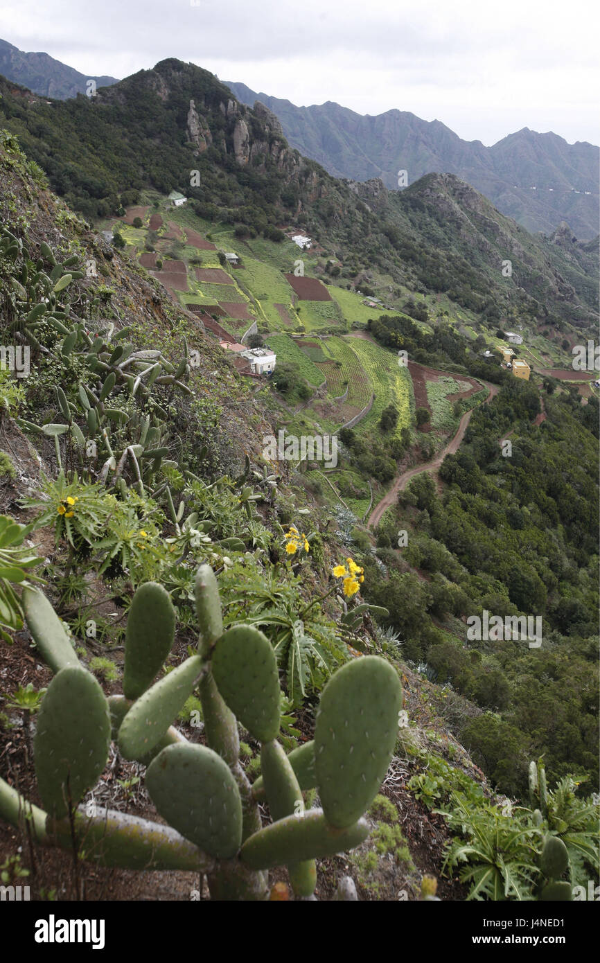 Tenerife anaga mountains hi-res stock photography and images - Alamy