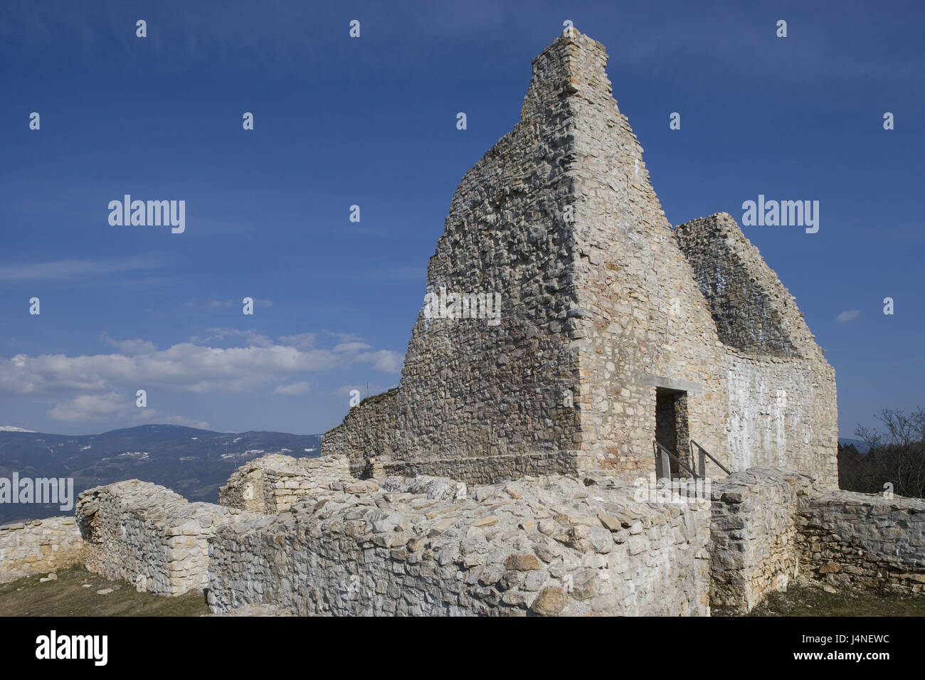 Paul raven hi-res stock photography and images - Alamy