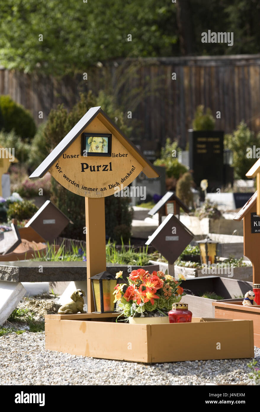 Animal cemetery, tombs, detail Stock Photo - Alamy