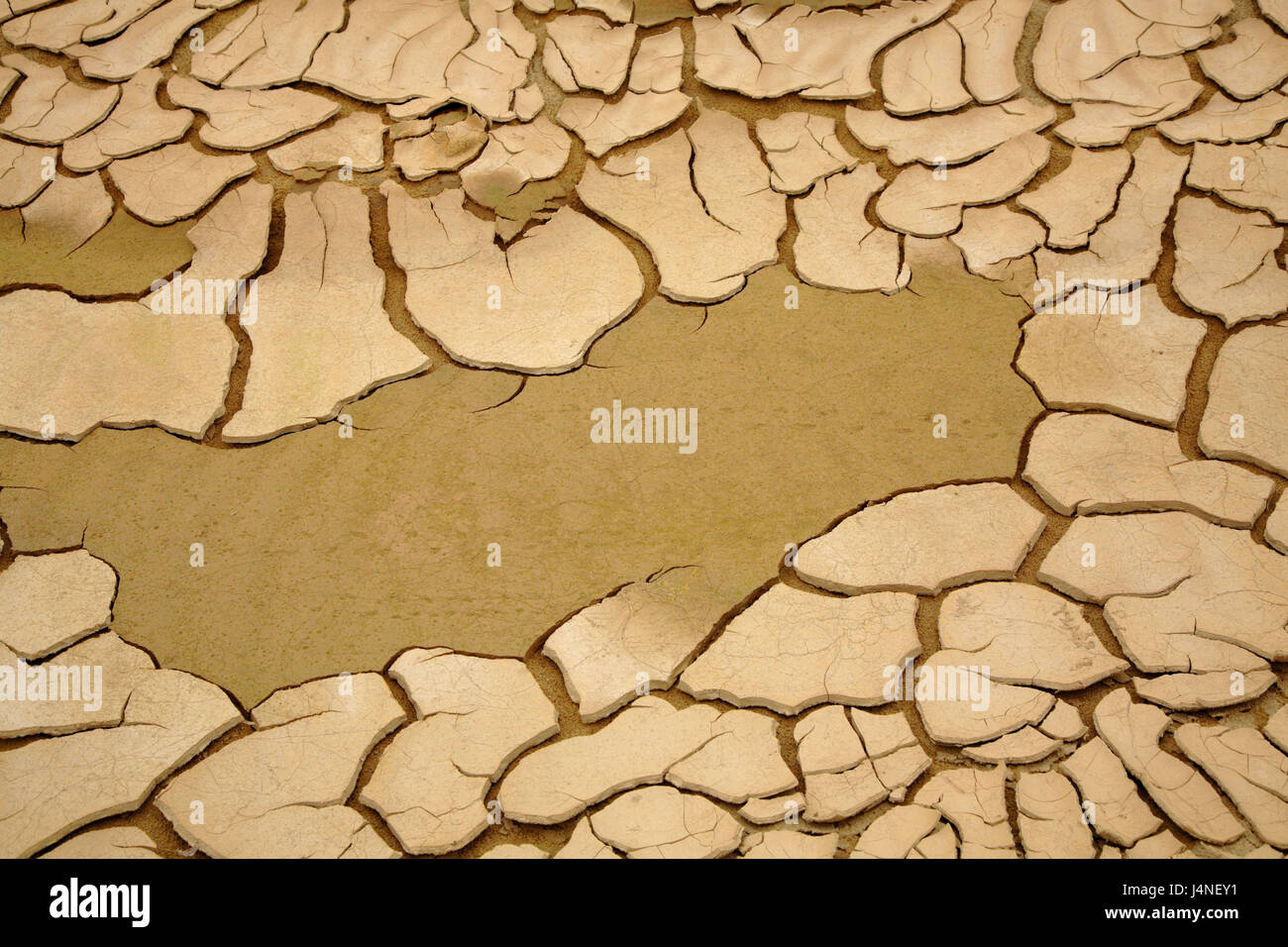 North Africa, Morocco, Sahara, dry fissures, riverbed, parched, medium ...