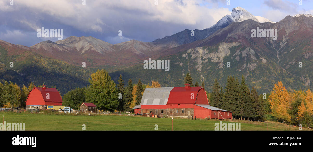 The USA, Alaska, Matanuska Valley, Chugach Nationwide Forest, farm ...