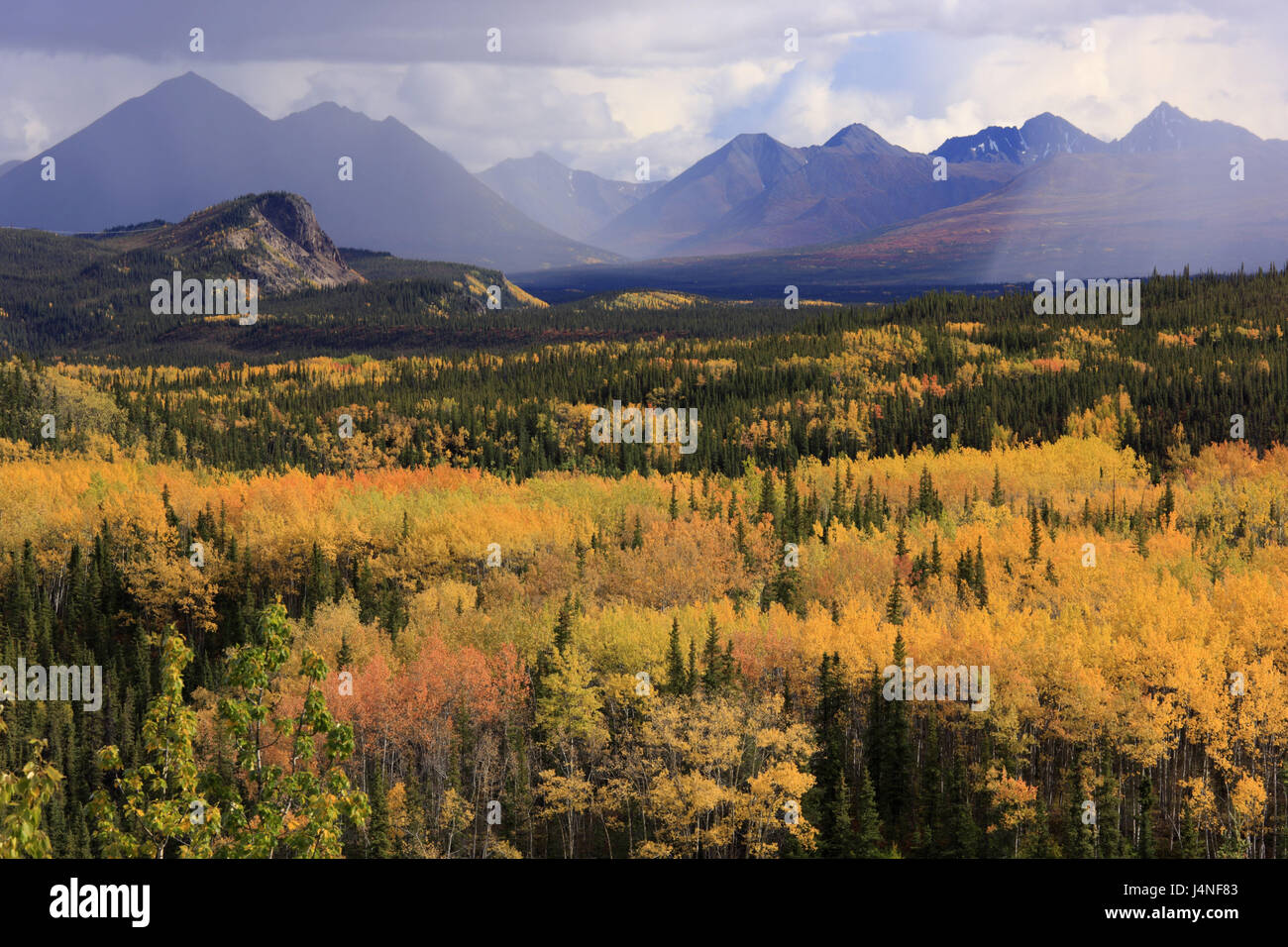 The USA, Alaska, Zentralalaska, Denali national park, Alaska to rank ...