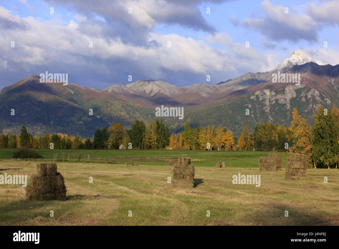 Matanuska valley hi-res stock photography and images - Alamy