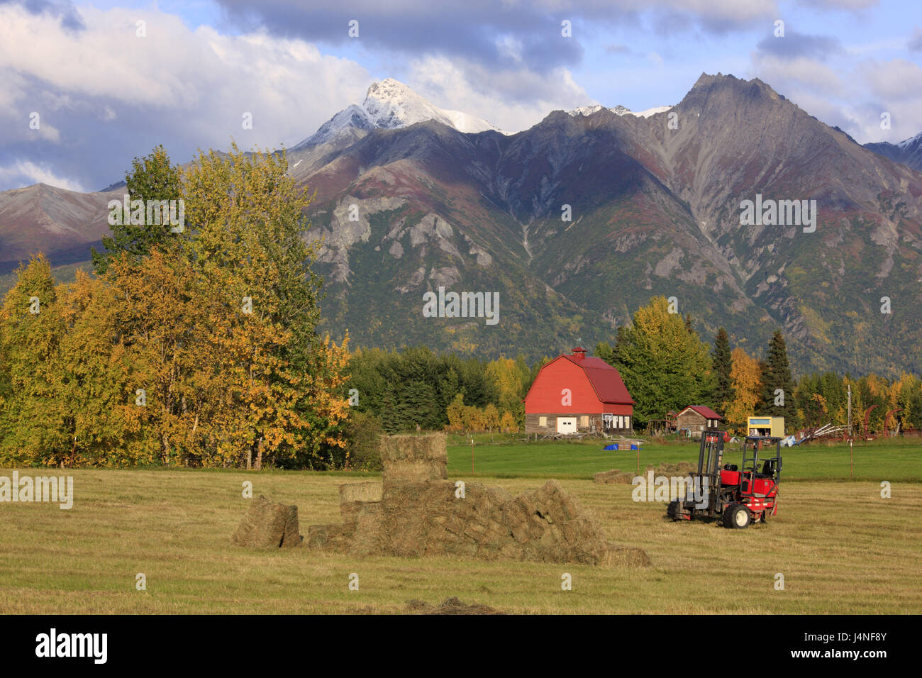 The USA, Südalaska, Matanuska Valley, farm houses, autumn, hay harvest ...