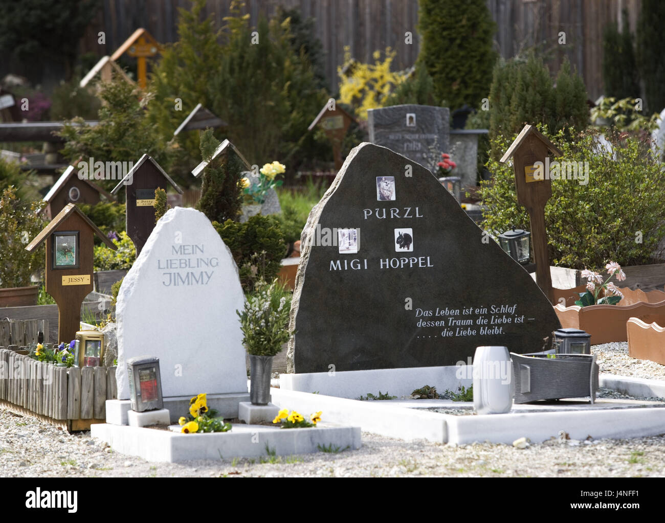 Animal cemetery, tombs, detail Stock Photo - Alamy