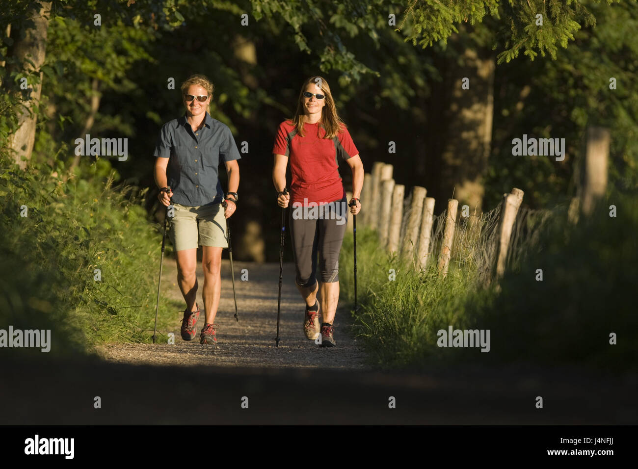 Footpath, women, two, Nordic Walking, model released Stock Photo - Alamy