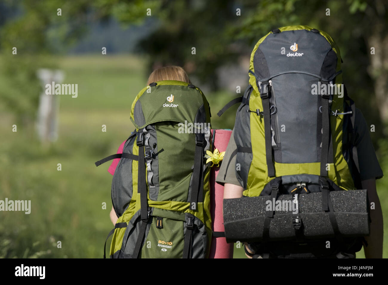 Couple, walk, backpacks, back view, detail, model released Stock Photo ...