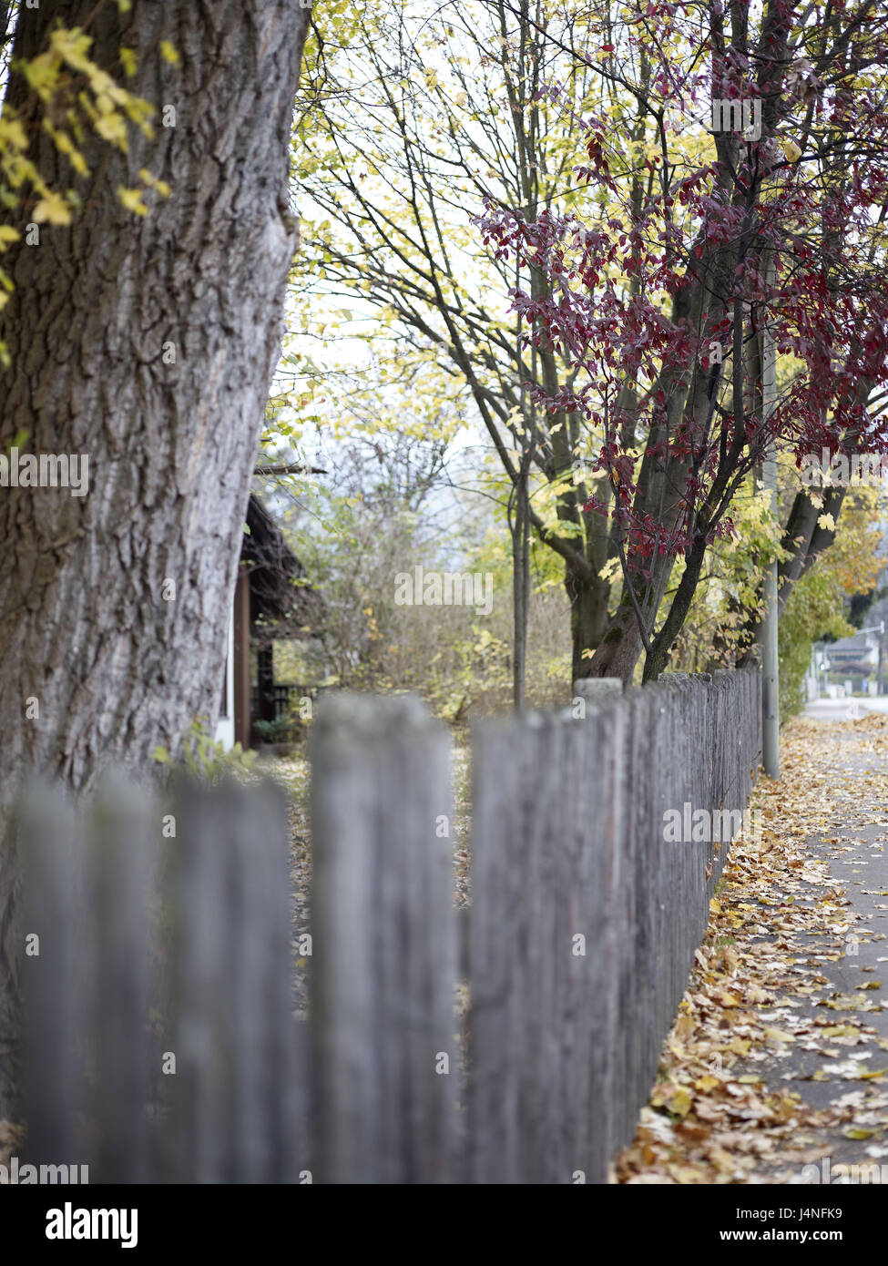 Fence and trees hi-res stock photography and images - Alamy