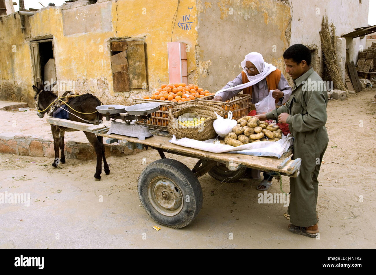 Donkey cart egypt hi-res stock photography and images - Alamy